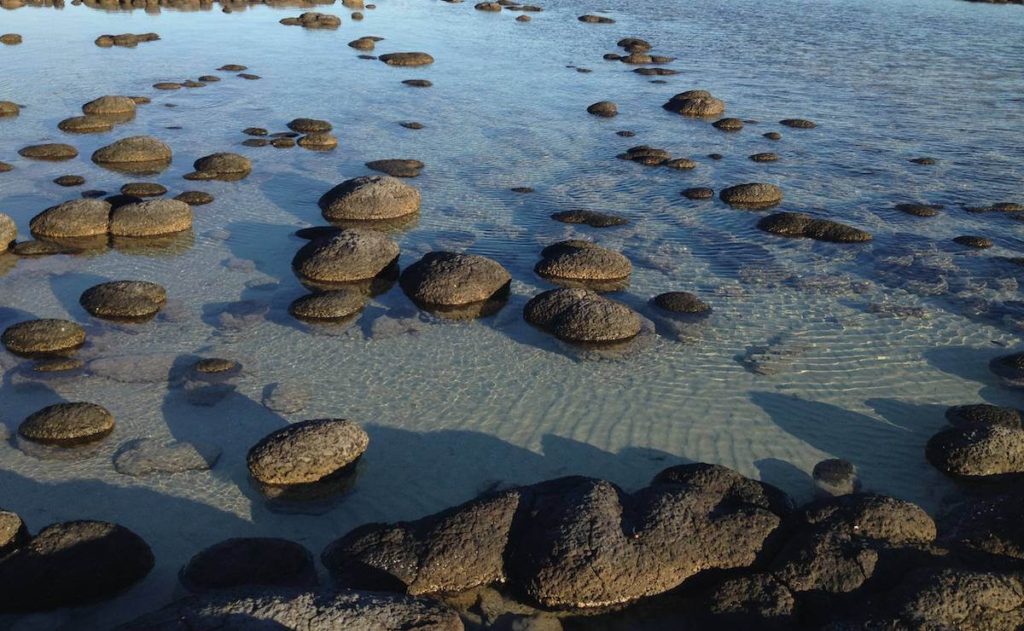 Life’s Rocky Start – VideoNeat