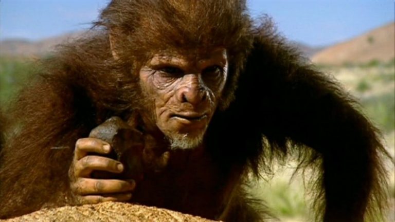homo erectus – VideoNeat